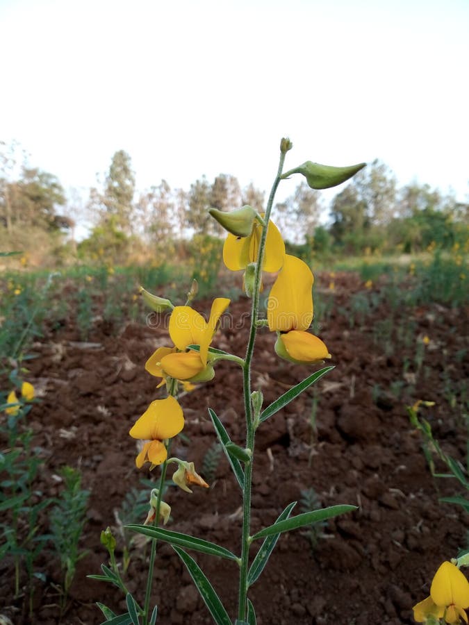 Nacher Photos - Free & Royalty-Free Stock Photos from Dreamstime