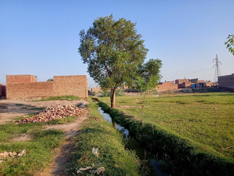 Tree in Village Side Beautiful Pakistan Stock Image - Image of hill ...