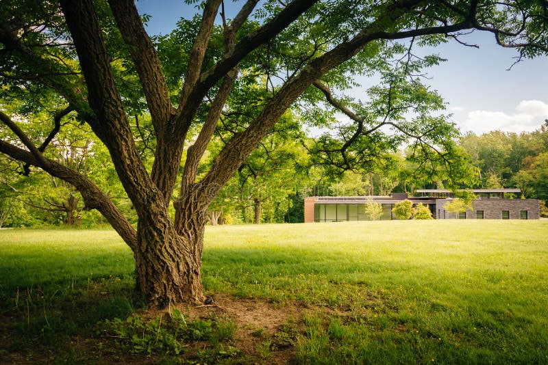Tree and the Visitor Center at Cylburn Arboretum in Baltimore, Stock ...