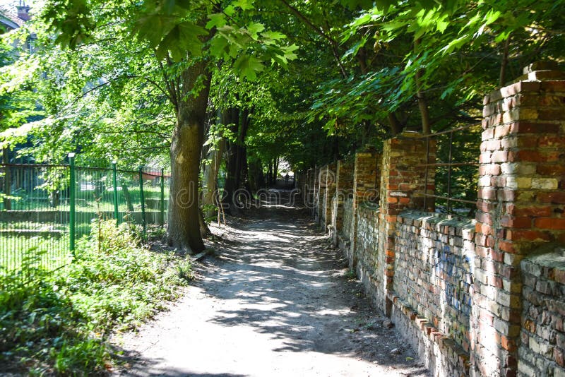 Tree Walk Path. Natural Background Stock Image - Image of dawn, nature ...