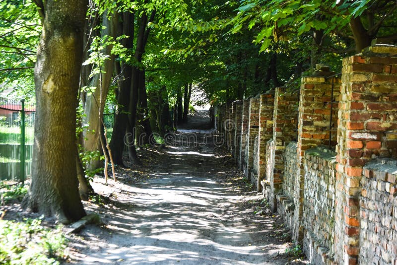 Tree Walk Path. Natural Background Stock Image - Image of green ...
