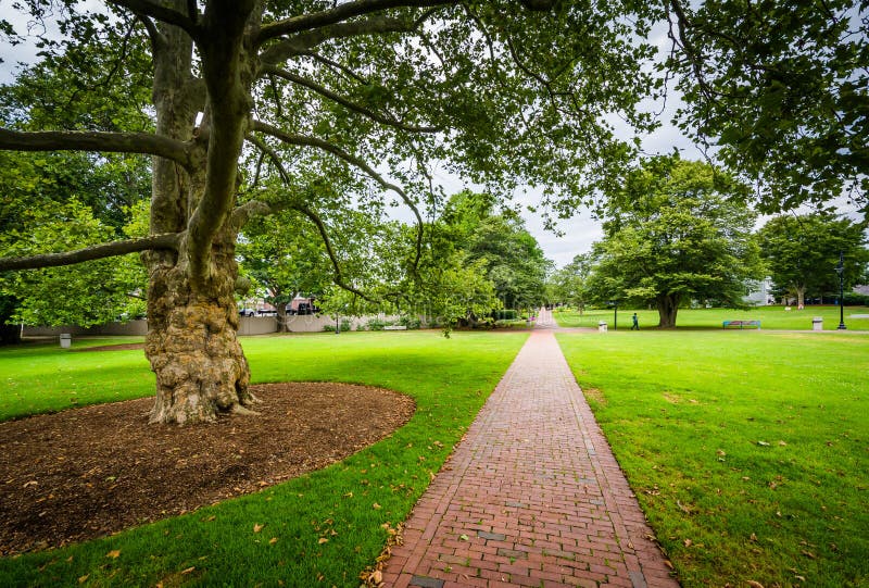 Tree and Walkway in Hyannis, Cape Cod, Massachusetts. Stock Image ...