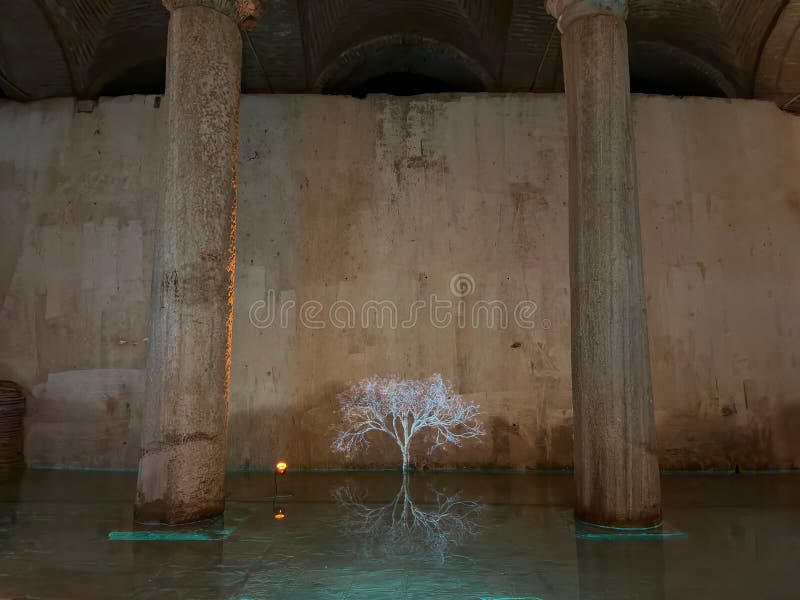 Tree Wall Art between Columns Reflected in Water in the Restored ...