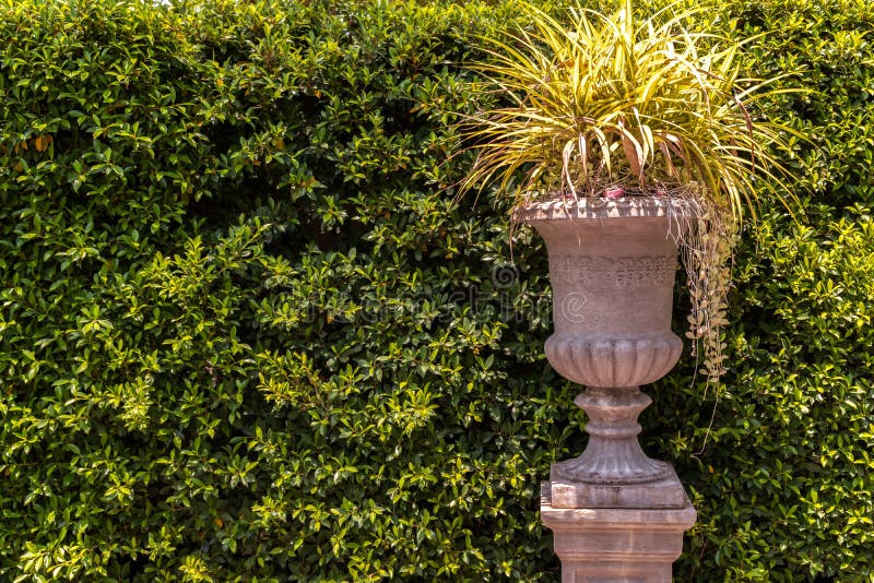 Roman Pots, Pompeii, Italy. Stock Photo - Image of history, attraction ...