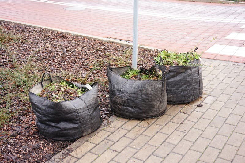 Tree waste stock image. Image of full, waste, tree, sidewalk - 48763775