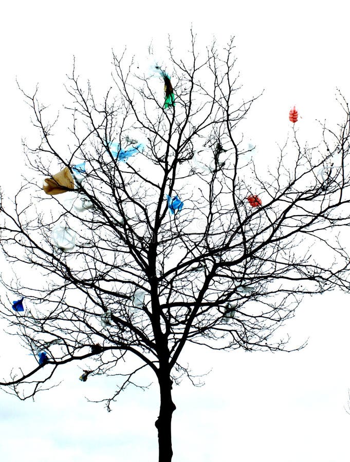 The Tree with Waste Plastic As Leaf for it Stock Image - Image of ...