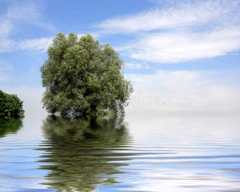 Water Tree Sky Nature Free Stock Photos & Pictures, Water Tree Sky ...