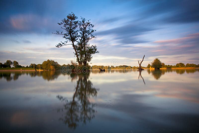 Tree in water stock photo. Image of beauty, outside, colorful - 9458526
