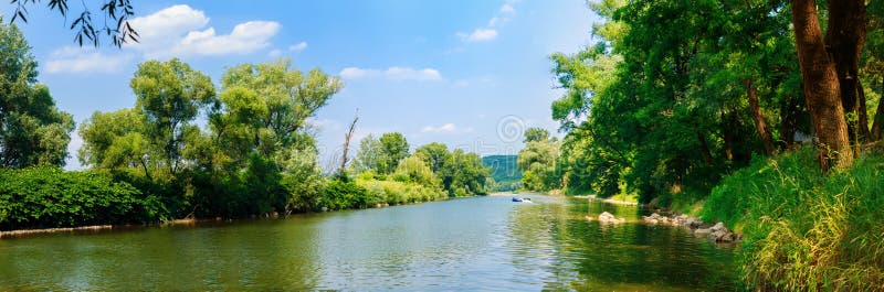 Tree, Water, Nature, Sun, Spring, Forest Stock Image - Image of nature ...