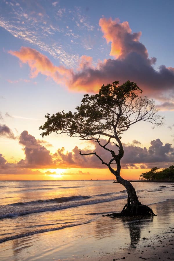 Tree on the Water during Sunset Stock Illustration - Illustration of ...