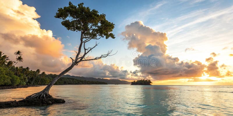 Tree on the Water during Sunset Stock Illustration - Illustration of ...