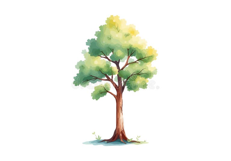Tree Watercolor Vector Illustration. Stock Vector - Illustration of ...