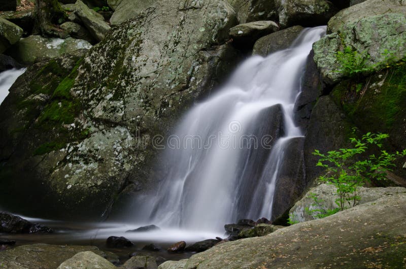Tree in Waterfall stock photo. Image of rocks, forest - 22137206