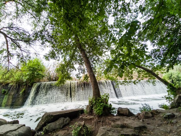 Tree between Waterfalls .Small Waterfall in Park Stock Photo - Image of ...