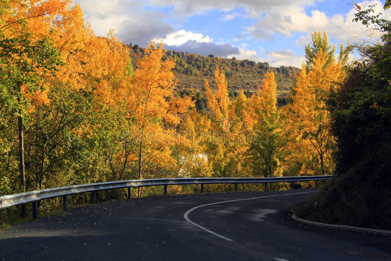Tree way stock photo. Image of ocean, trees, colurs, highway - 80953894