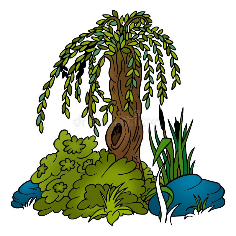 8+ Willow tree cartoon Free Stock Photos - StockFreeImages