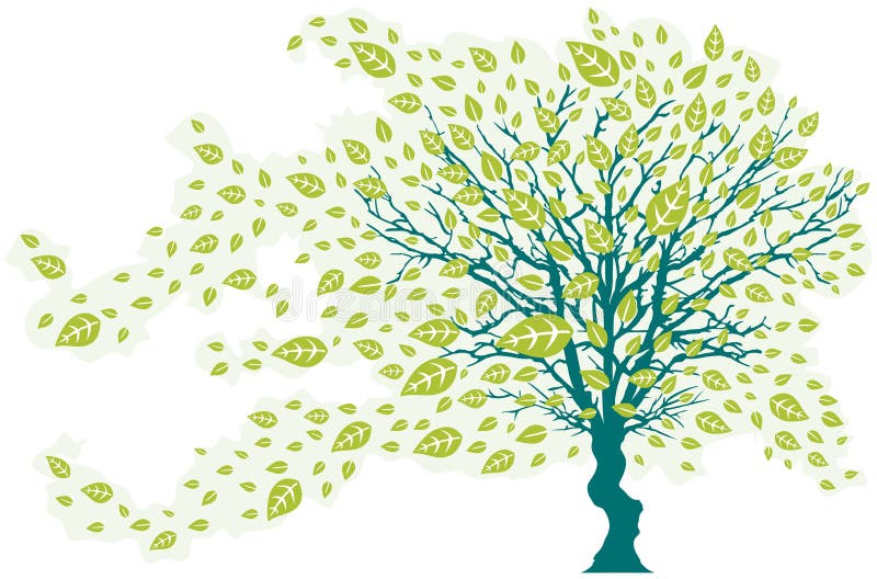 Tree With Falling Leaves Drawing