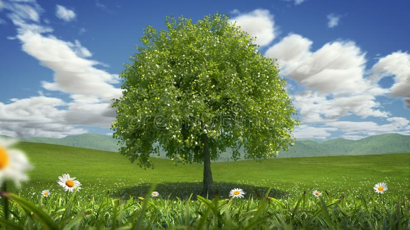 Tree Blowing at Night. Seamless Loop. 4K Stock Footage - Video of park ...