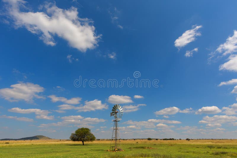 Tree and a windmill stock image. Image of single, green - 59638625
