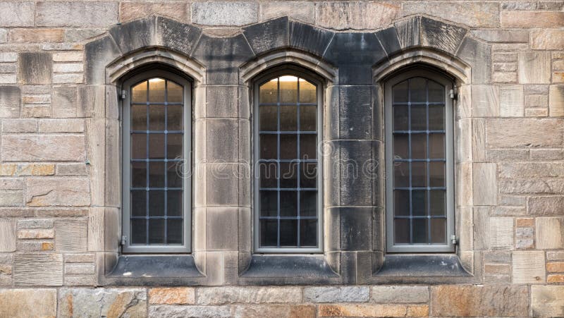 Tree windows in Neo-Gothic stock photo. Image of historic - 65486984