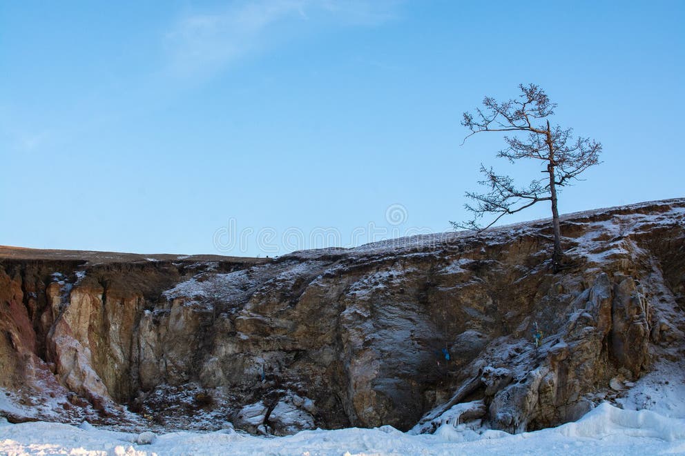 Tree in Winter on Cliff, Landscape Image Stock Photo - Image of ...