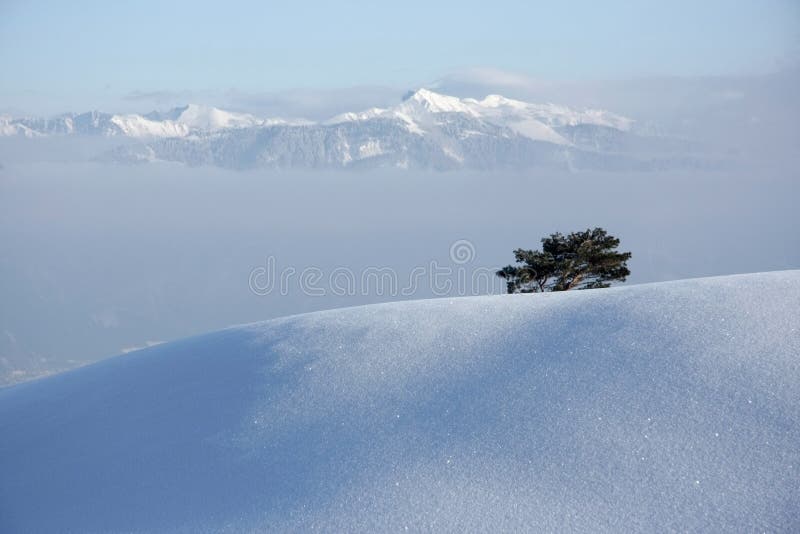 24,671 Frosty Alpine Landscape Stock Photos - Free & Royalty-Free Stock ...