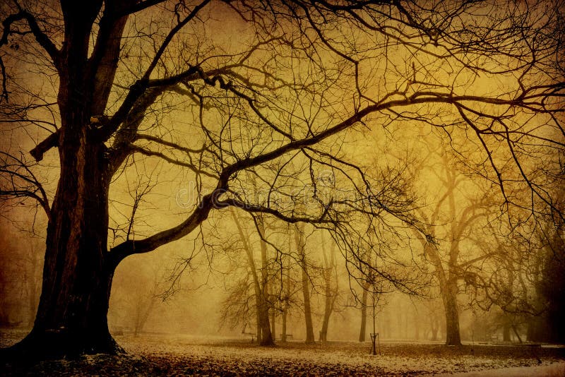 Tree in the Winter without Leaves on Brown Stock Photo - Image of cold ...