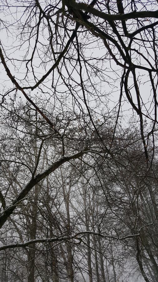 171 Cold Brr Stock Photos - Free & Royalty-Free Stock Photos from ...