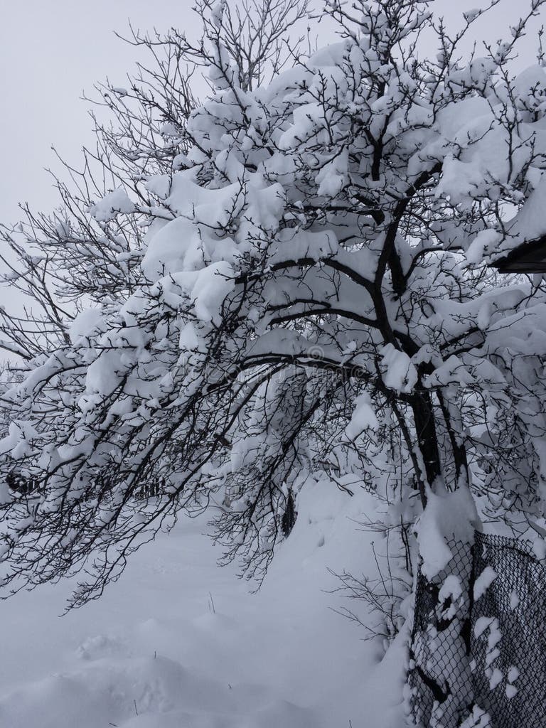 409 Under Whether Stock Photos - Free & Royalty-Free Stock Photos from ...