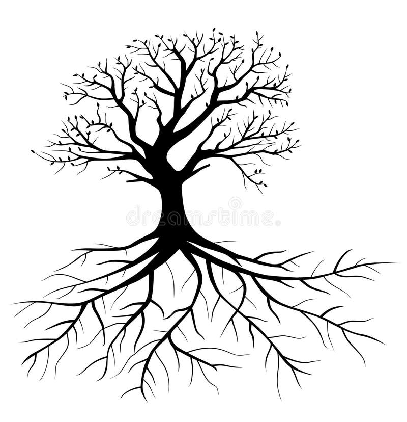 6+ Tree roots line art Free Stock Photos - StockFreeImages