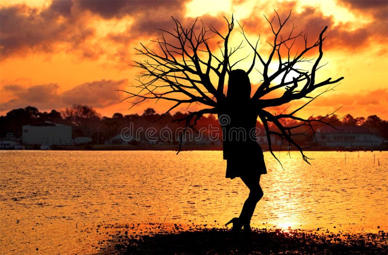 Tree Woman at the Ocean stock photo. Image of environment - 40619994