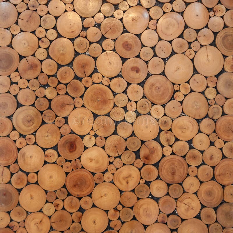 Tree Wood Brown Circle Stumps Stock Image - Image of trunk, hardwood ...