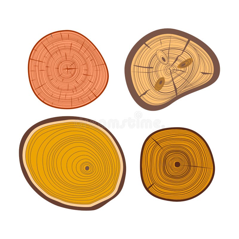 Tree Wood Slices Vector Set Stock Illustrations – 68 Tree Wood Slices ...
