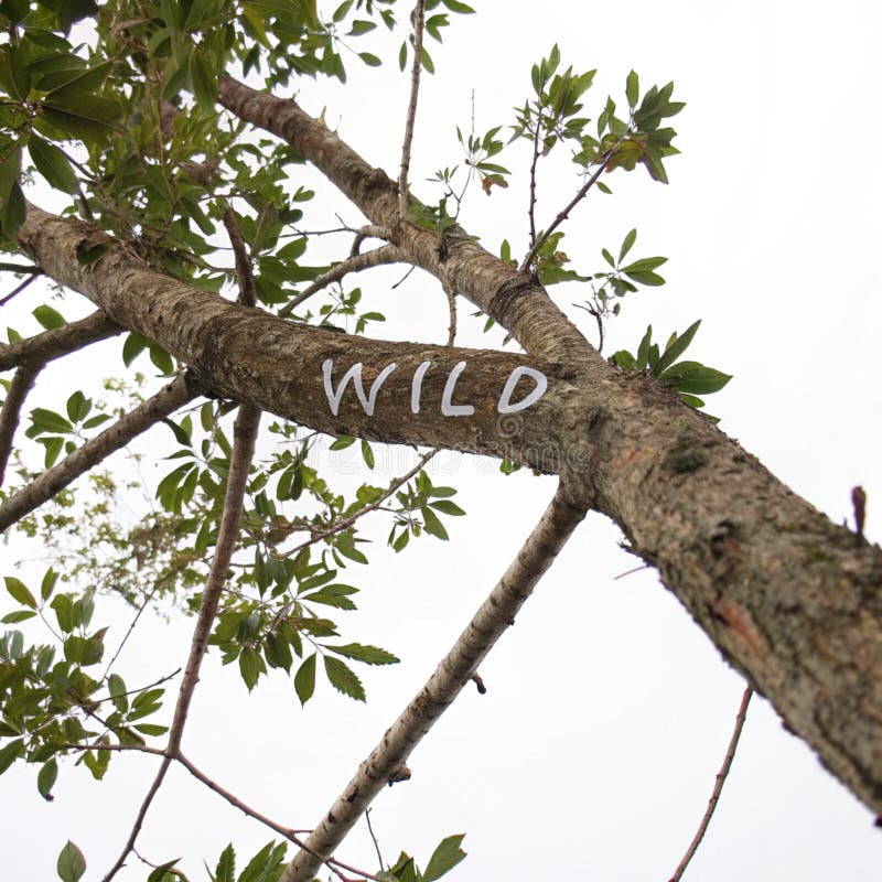 Tree with the Word "wild Stock Illustration - Illustration of flora ...