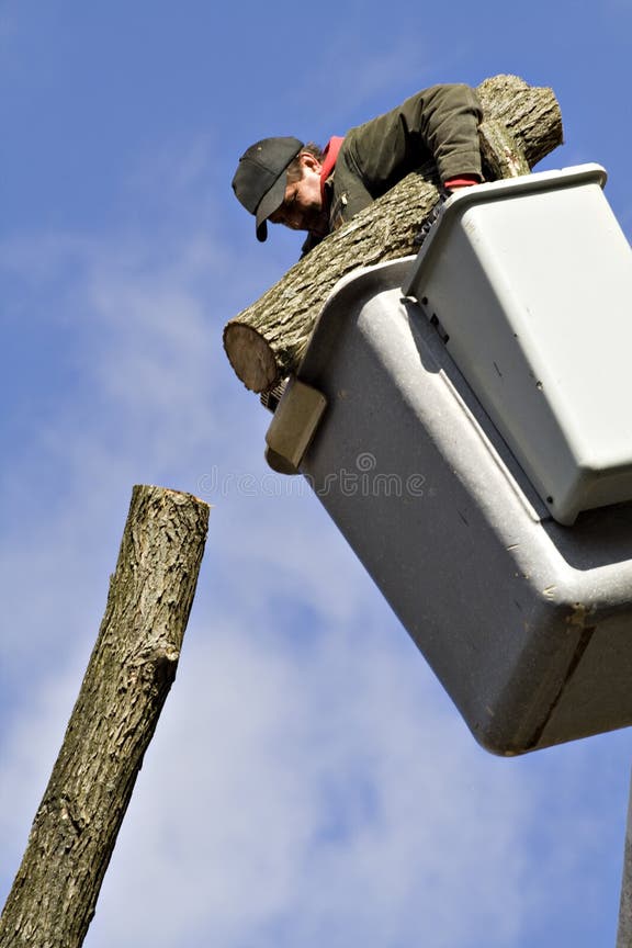 Tree Worker stock image. Image of remove, chainsaw, firewood - 4100779