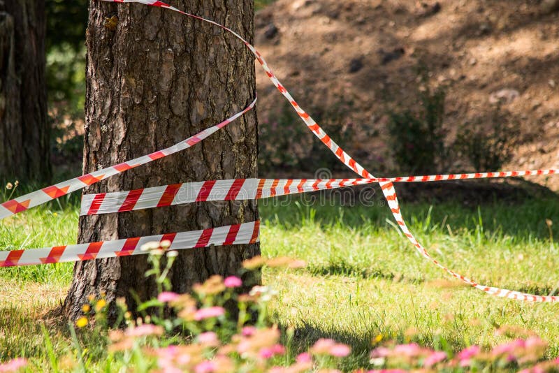 Tree Crime Scene Tape Stock Photos - Free & Royalty-Free Stock Photos ...