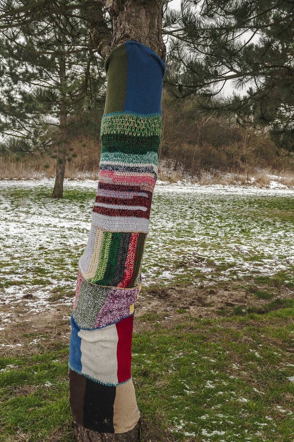 A Tree Wrapped with Wool Knit Stock Photo - Image of forest, concept ...