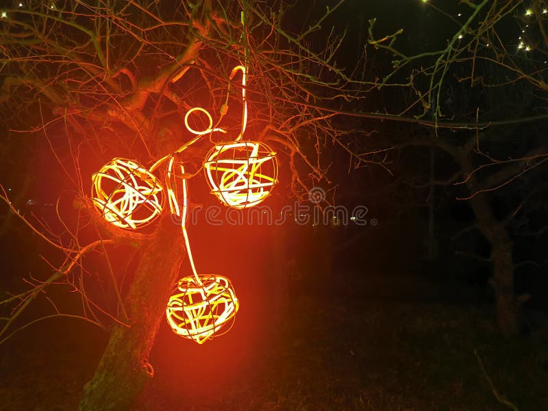 Tree in the Yard Illuminated at Night. High Quality Photo Stock Photo ...