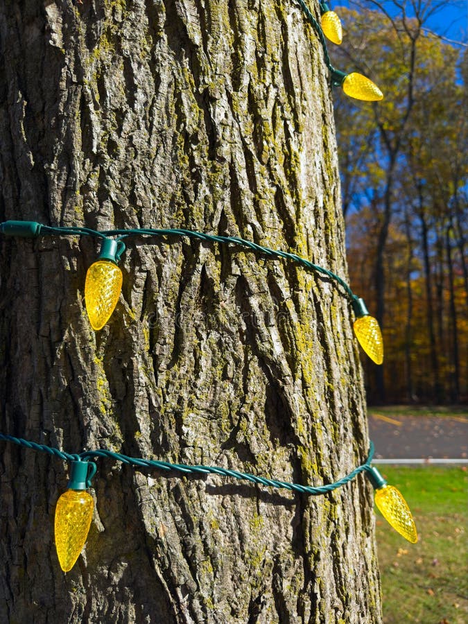 String Six Bulbs Cord Stock Photos - Free & Royalty-Free Stock Photos ...