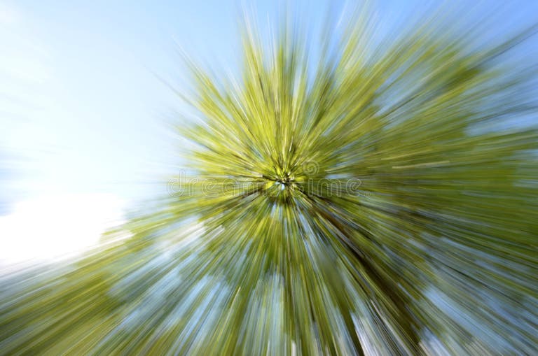 593 Sun Zoom Background Wallpaper Stock Photos - Free & Royalty-Free ...