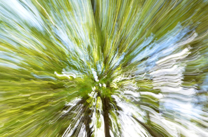 Tree zoom background stock photo. Image of abstract, electronic - 40177772