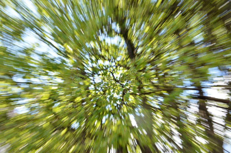 64+ Zoom background tree Free Stock Photos - StockFreeImages