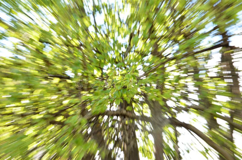 Tree zoom background stock photo. Image of abstract, electronic - 40177772