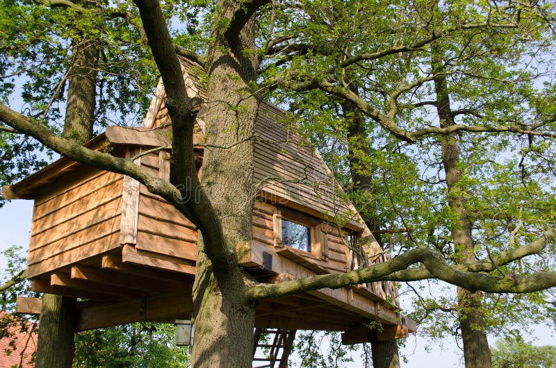 Treehouse stock image. Image of home, house, relax, hotel - 33103357