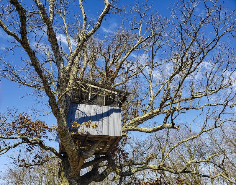 Treehouse in a Bare Tree in Late Winter Stock Image - Image of rural ...