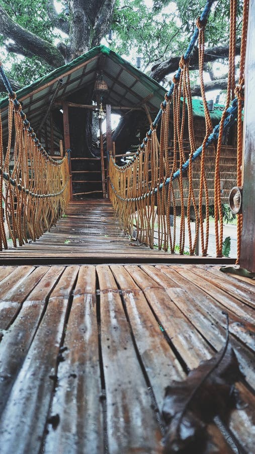 Treehouse, Leaves, Nature, Relax, Fun, Stock Image - Image of park ...