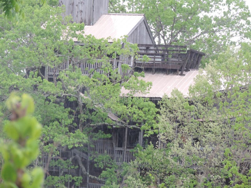 Treehouse stock photo. Image of hidden, tree, treehouse - 91999384