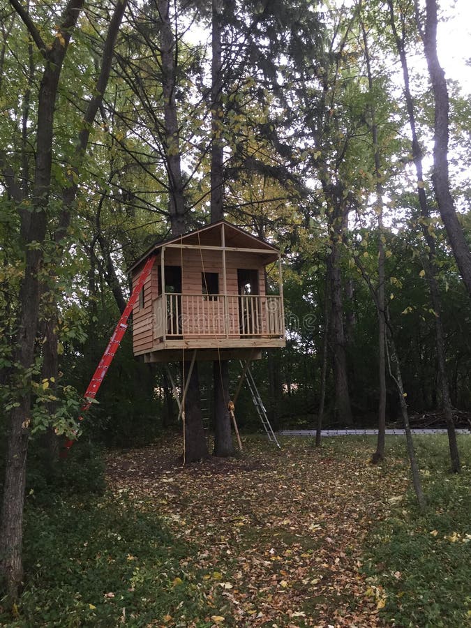 Treehouse stock image. Image of house, pine, trees, wood - 62274193