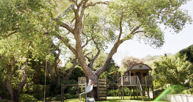 Treehouse with Slide and Ladder in Backyard, Surrounded by Lush ...