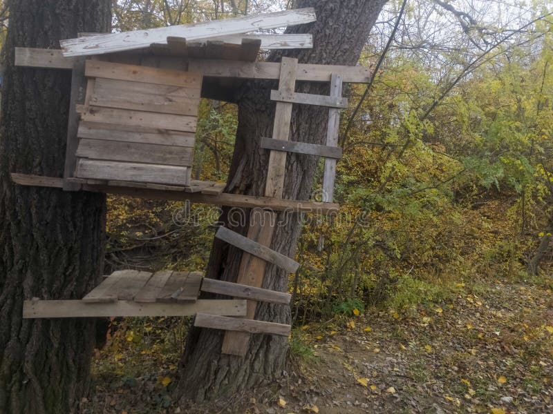 Treehouse with Stairs Wood on Tree Stock Photo - Image of autumn, fall ...